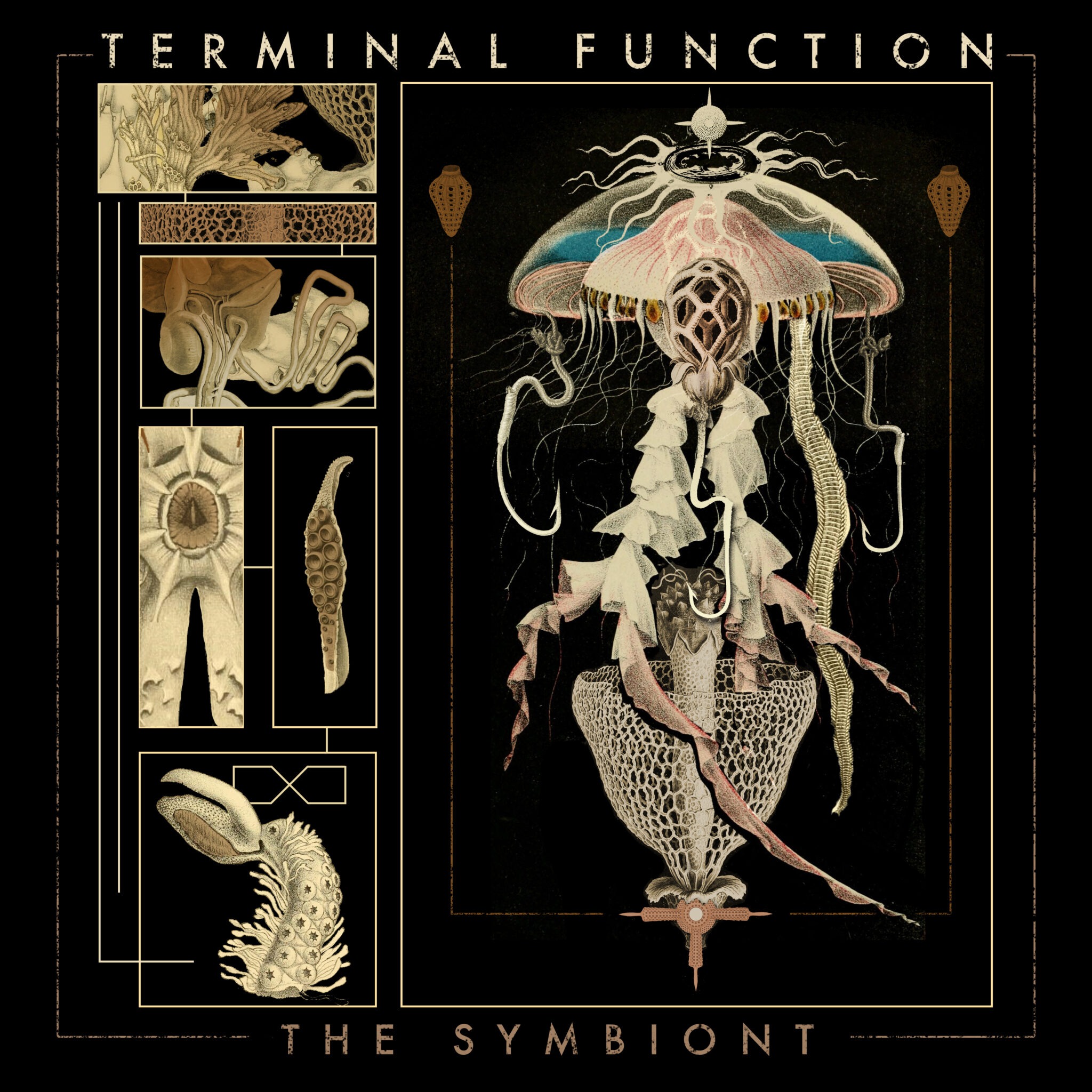REVIEW: Terminal Function - The Symbiont • Tuonela Magazine